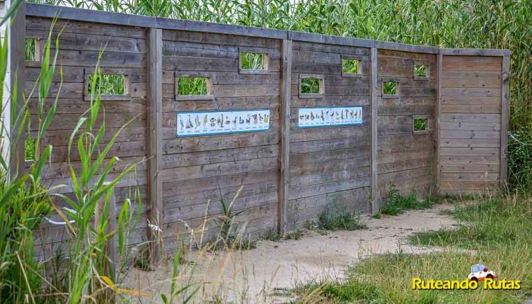 Rutas por los Espacios Naturales en el Delta de Llobregat (Barcelona)